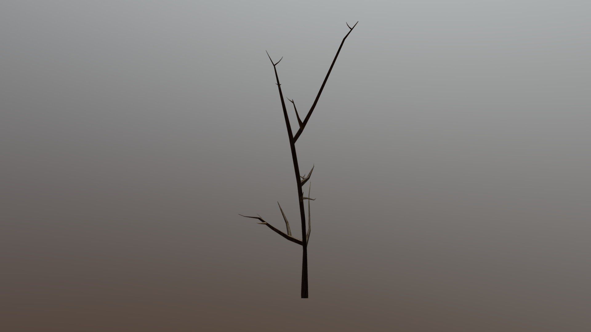 Little Tree - 3D model by Kalka [d958c19] - Sketchfab