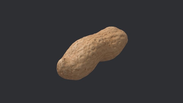 Peanut 3D models - Sketchfab