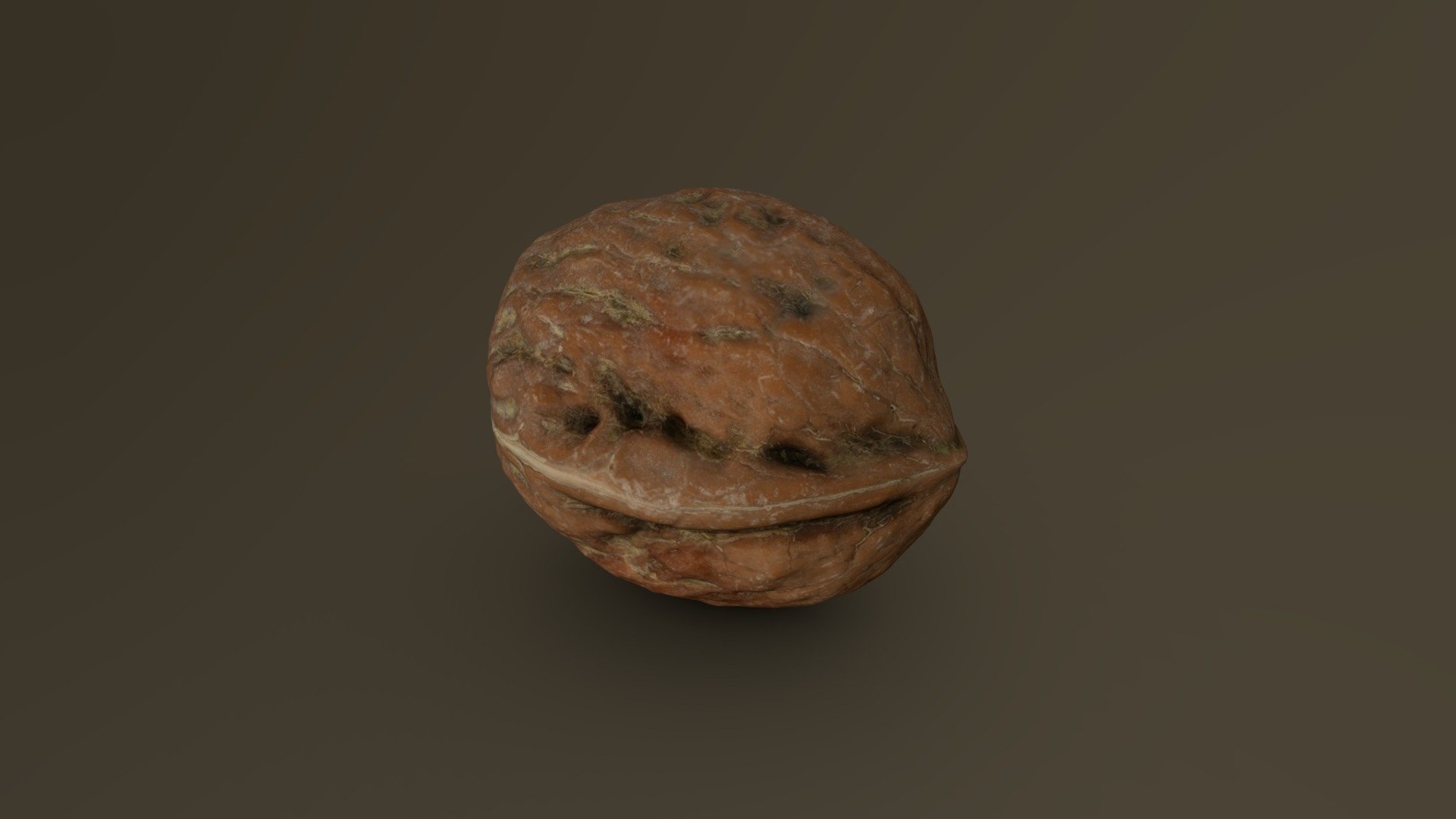 Walnut 15 - Buy Royalty Free 3D model by CemAygun [d95e6bb] - Sketchfab ...