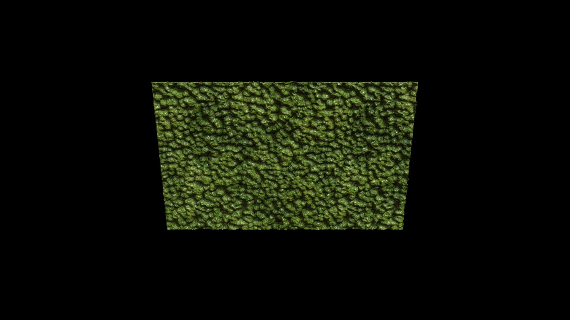 Moss - 3D model by aneeqayounas [d961e01] - Sketchfab