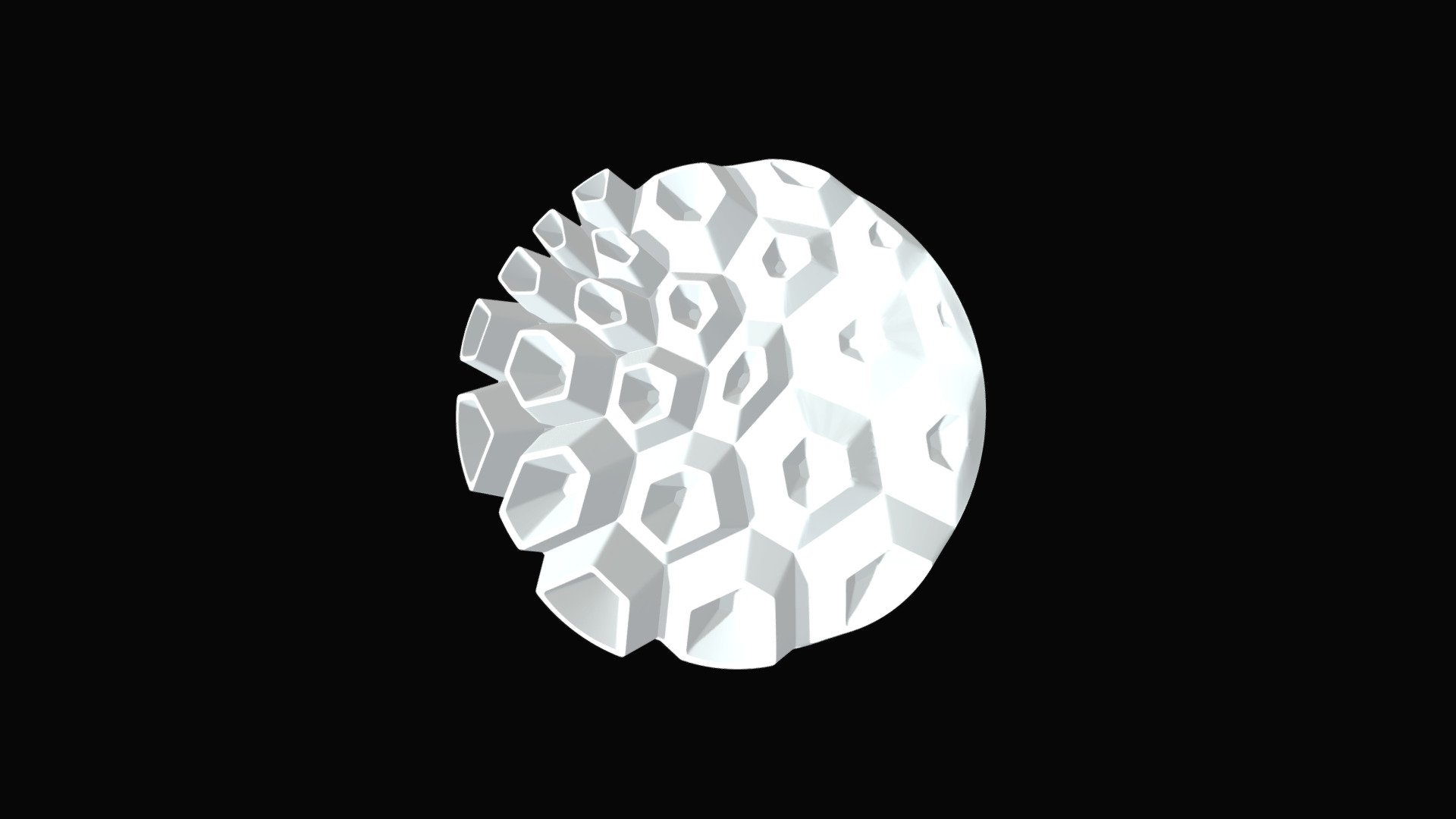 Disc 03_Barnacle - Download Free 3D model by Museum for Touch- Research ...