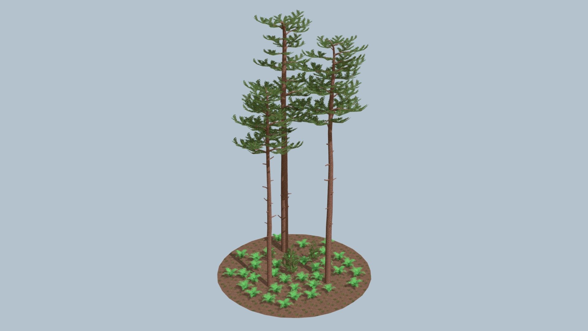 Pixel Pine Tree - Download Free 3D model by Guso [d967a83] - Sketchfab