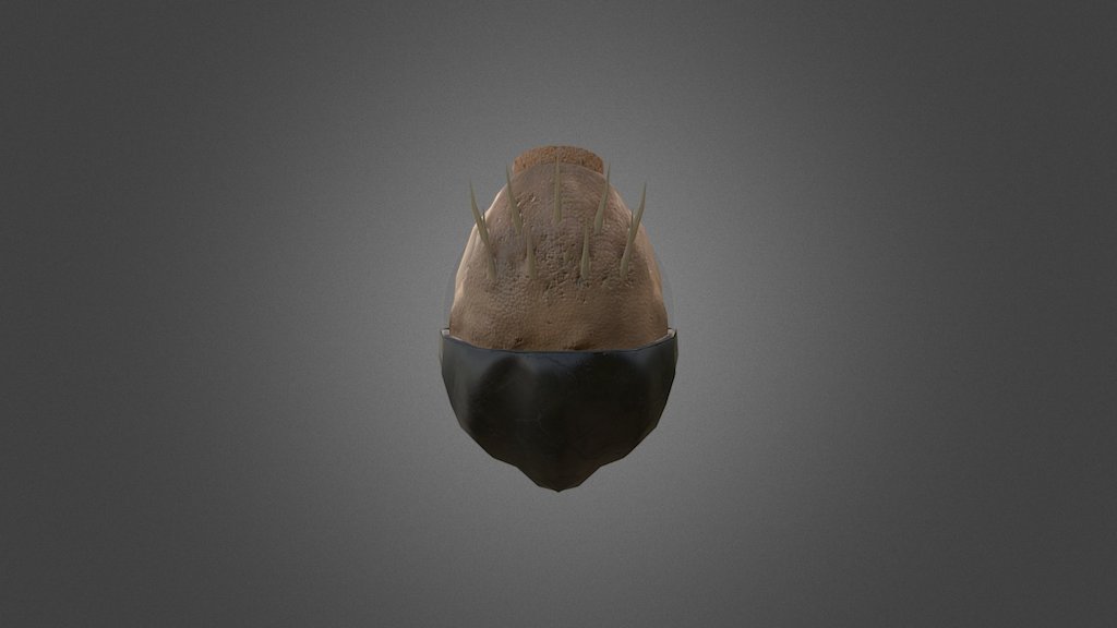 Fantastic Beast Bottle - The Graphorn - 3D model by crbncl [d973a36 ...