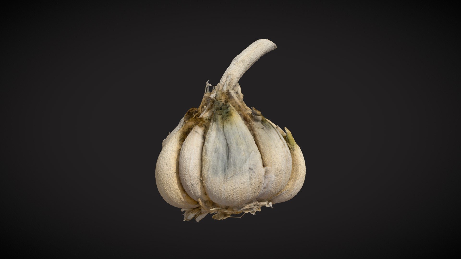 Garlic - Download Free 3D model by Archive RO_BG (@goshes) [d975418 ...