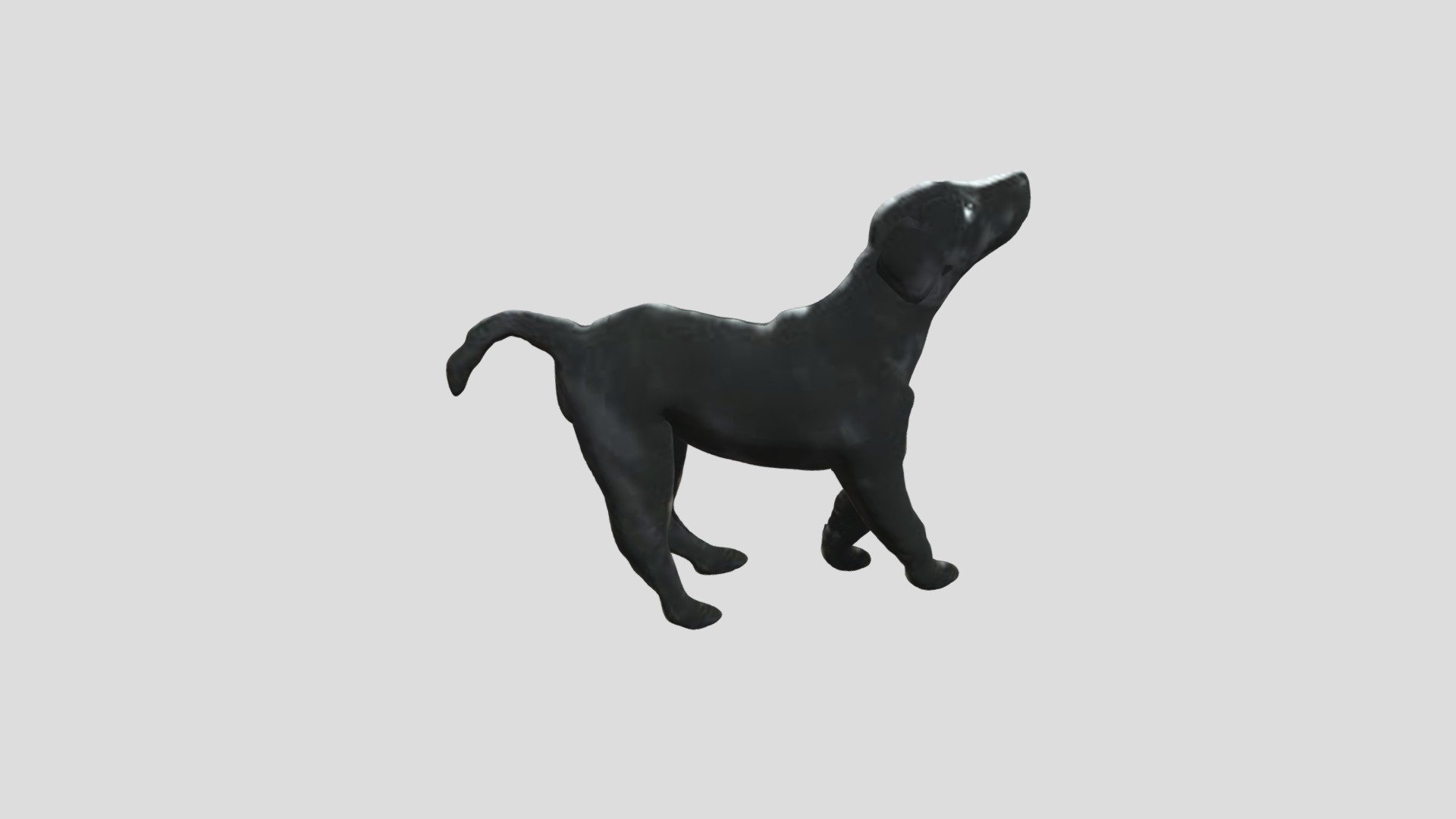 Dog walk - Download Free 3D model by a855589 [d9756ea] - Sketchfab