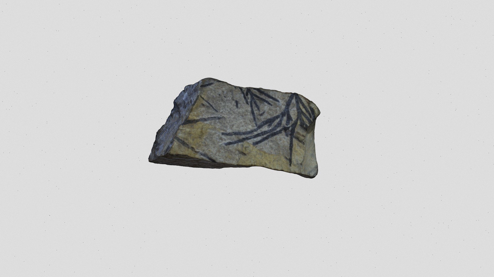 Chondrites - Download Free 3D model by Atlante virtuale 3D Geoscienze ...