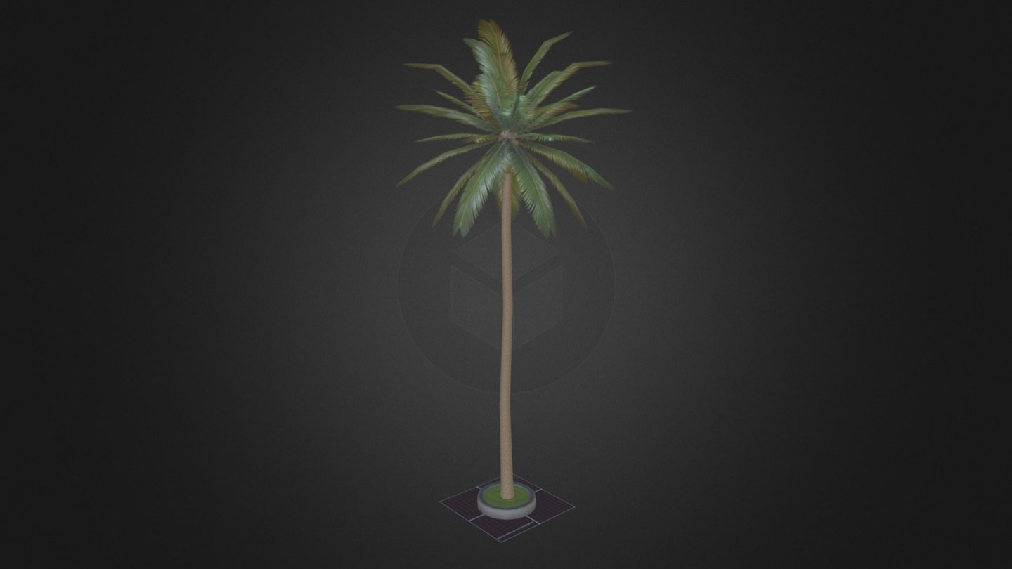 Palm tree - 3D model by Allan De Paepe (@AllanDePaepe) [d97ee6a ...