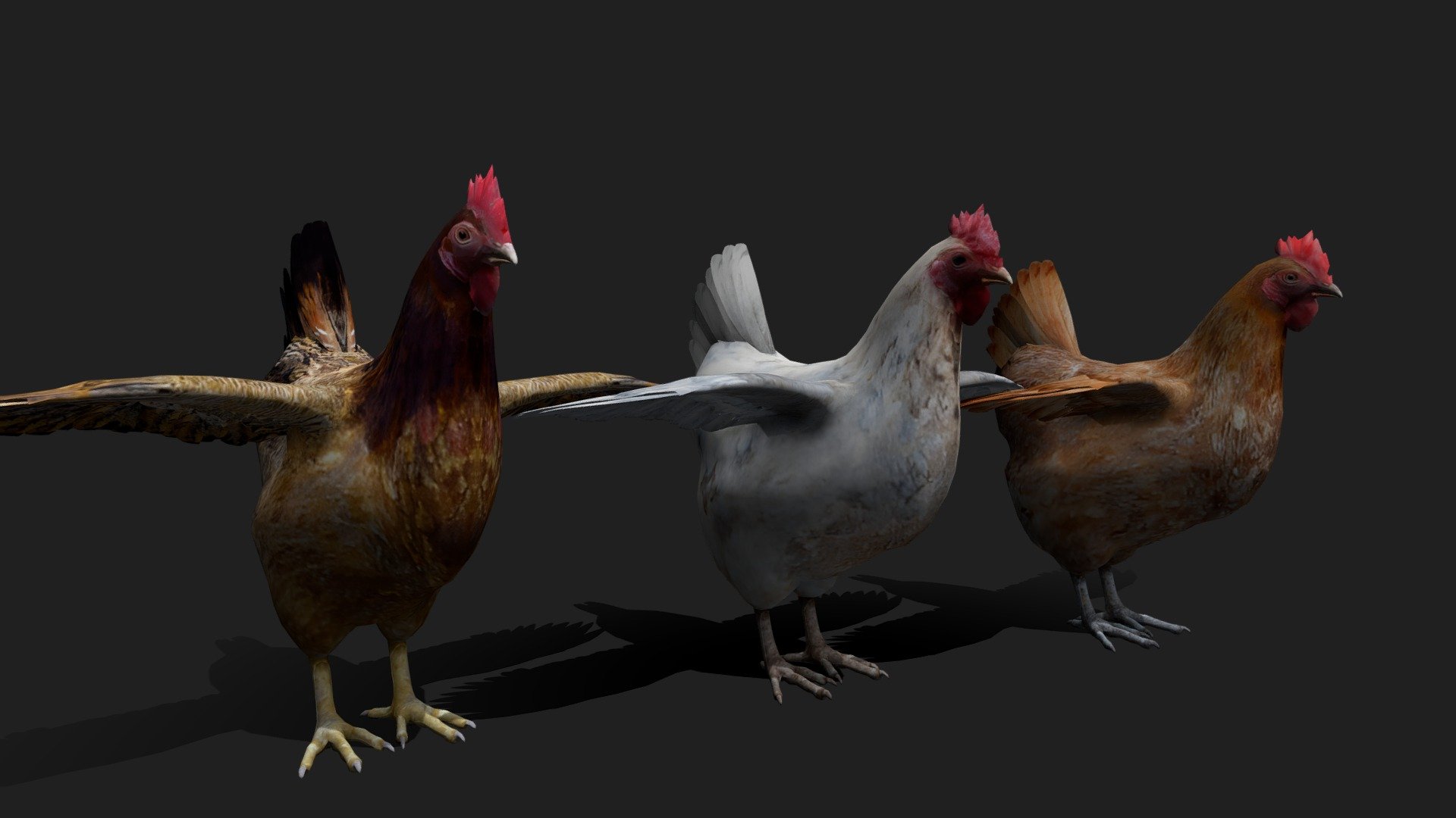Realistic Chicken 3D Model - 3D model by WildMesh 3D (@WildMesh_3D ...