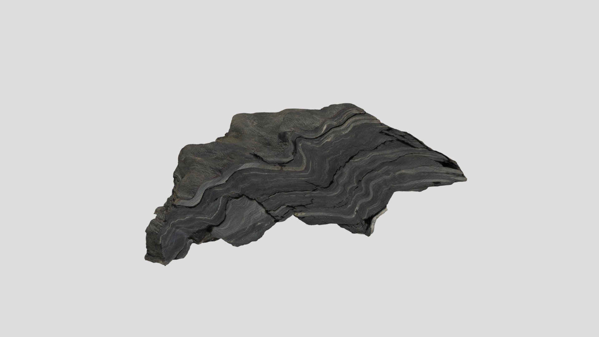 Folds with crenulation lineation - Download Free 3D model by Marko ...