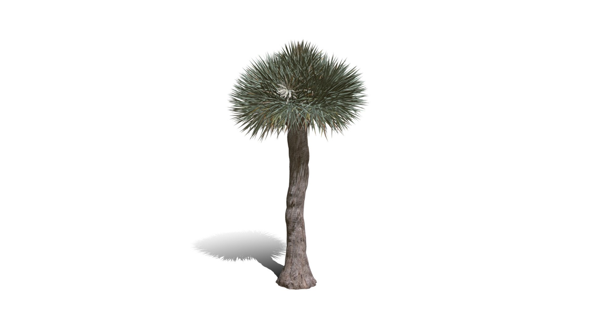 Realistic HD Dragon tree (18/50) - Download Free 3D model by ...