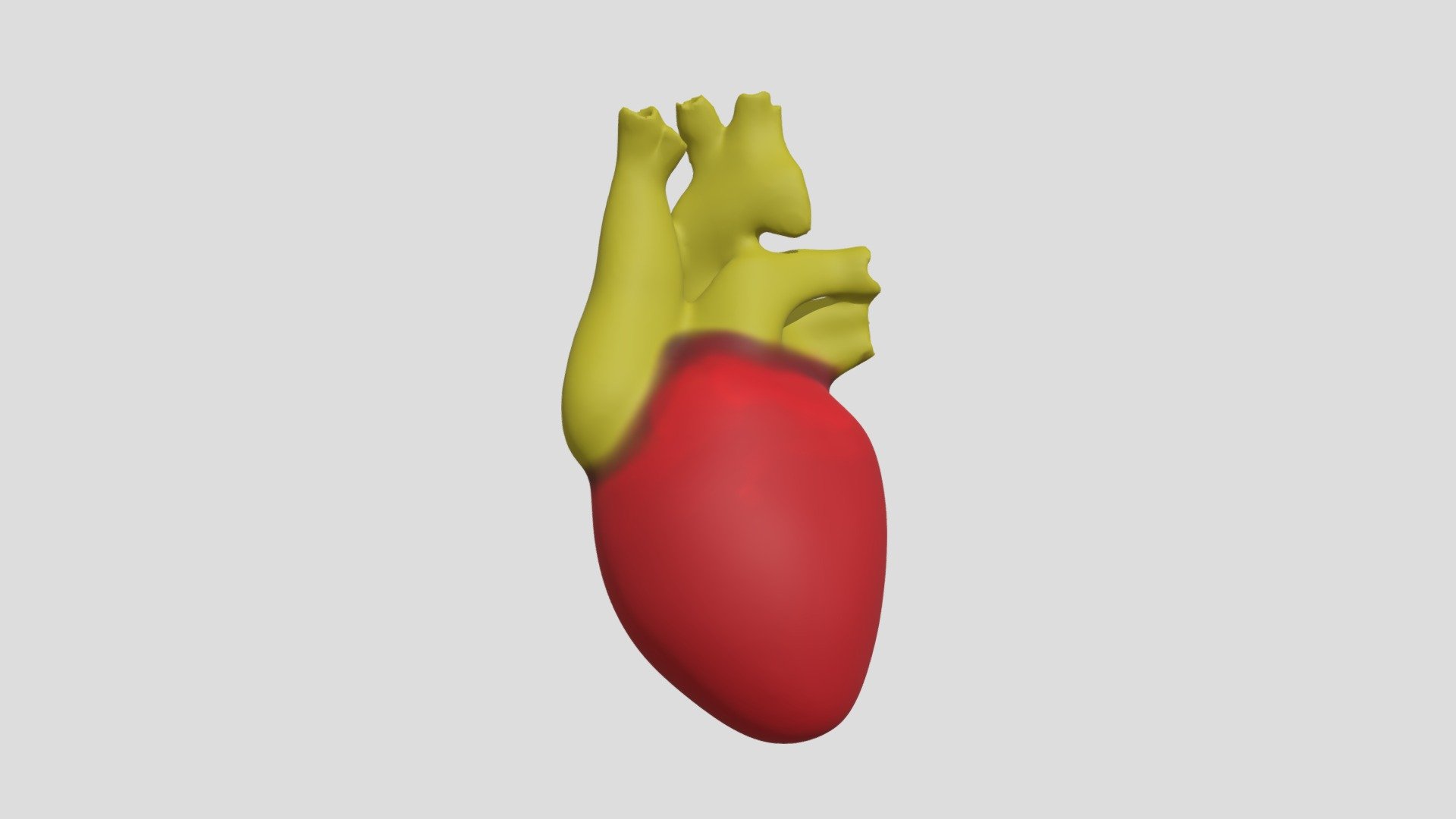 Heart - Download Free 3D model by kamijokhio11 [d9906e8] - Sketchfab