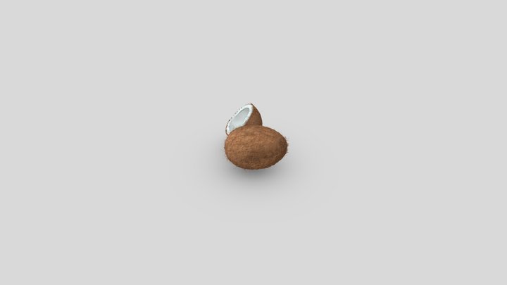 Coconut-fruit 3D models - Sketchfab