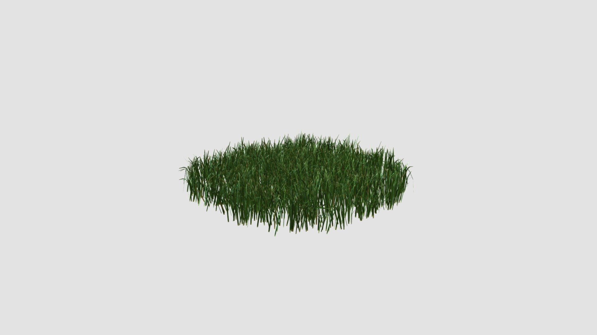 simple grass large - Buy Royalty Free 3D model by Evermotion [d9969ae ...