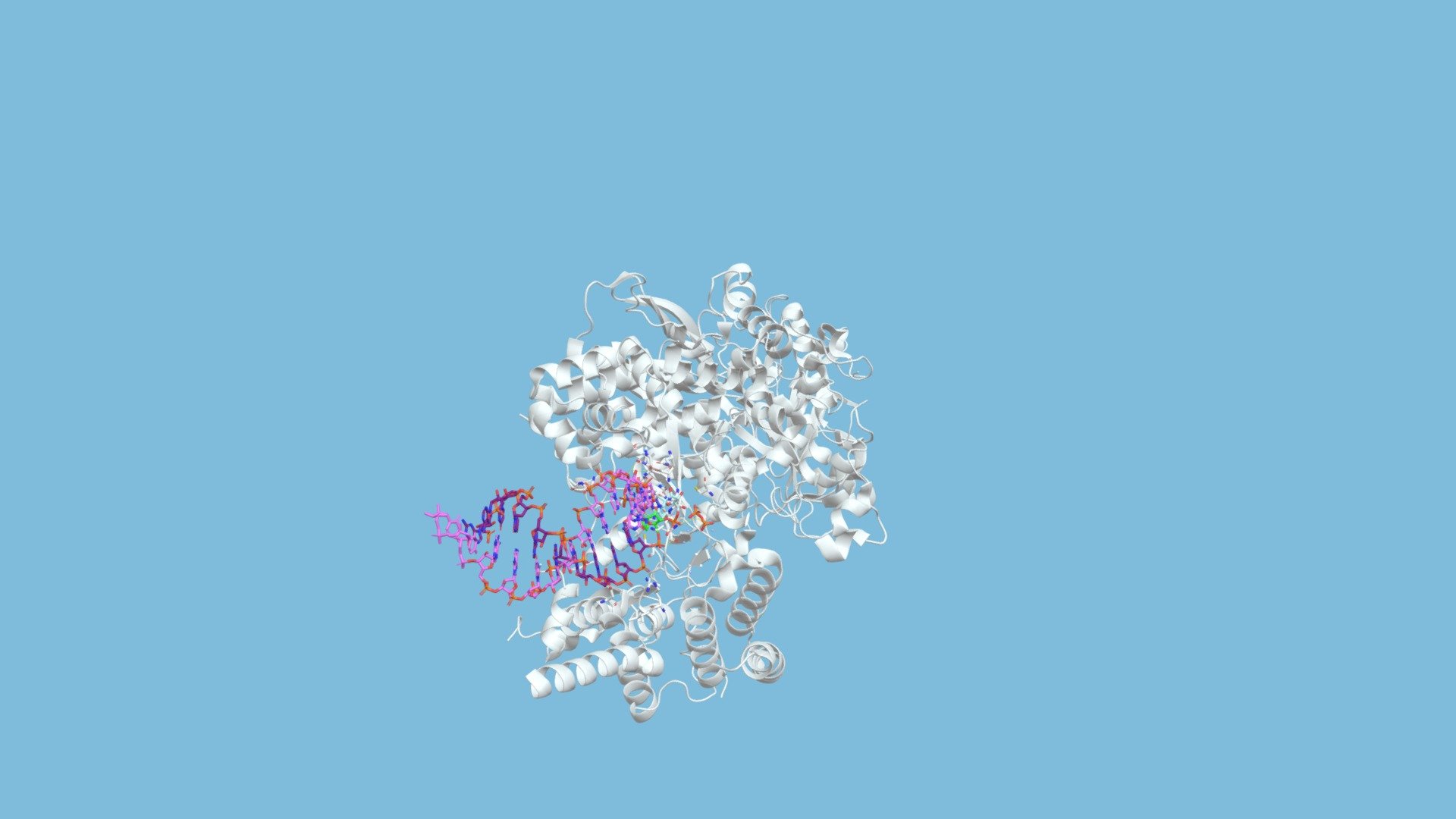 RNA Dependant RNA Polymerase and Remdesivir - 3D model by gordonchan ...