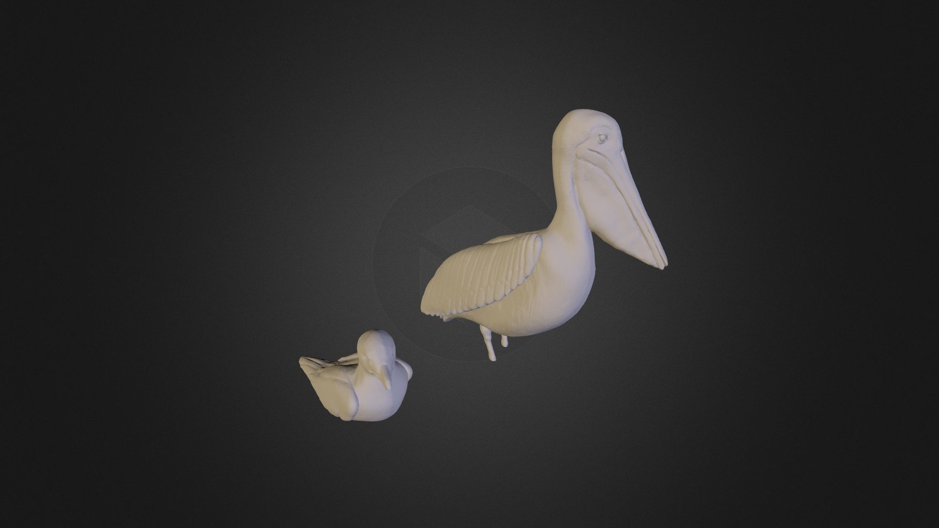 bird_relative_scale_Pelican75_Percent - 3D model by Lee ...