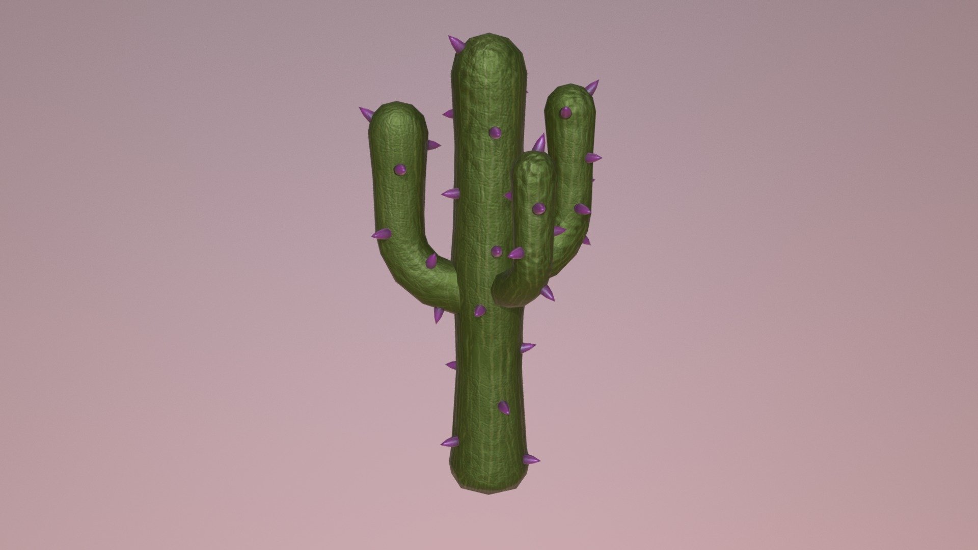 Cactus - 3D model by rose (@nextgenrose) [d9a631b] - Sketchfab