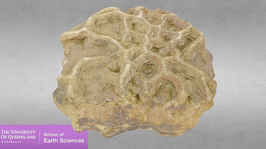 Sedimentary Structures - Cone in Cone - 3D model by nate_siddle (@nate ...