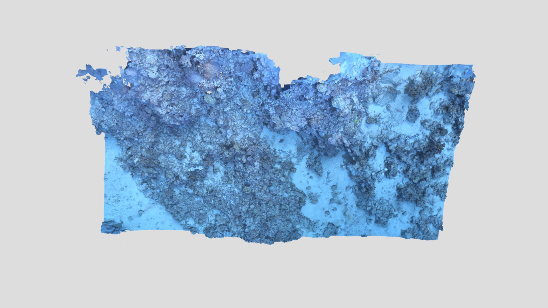 Davies_FL1D_P1_202101 - 3D model by EcoRRAP (@AIMSEcoRRAP) [d9b3339 ...