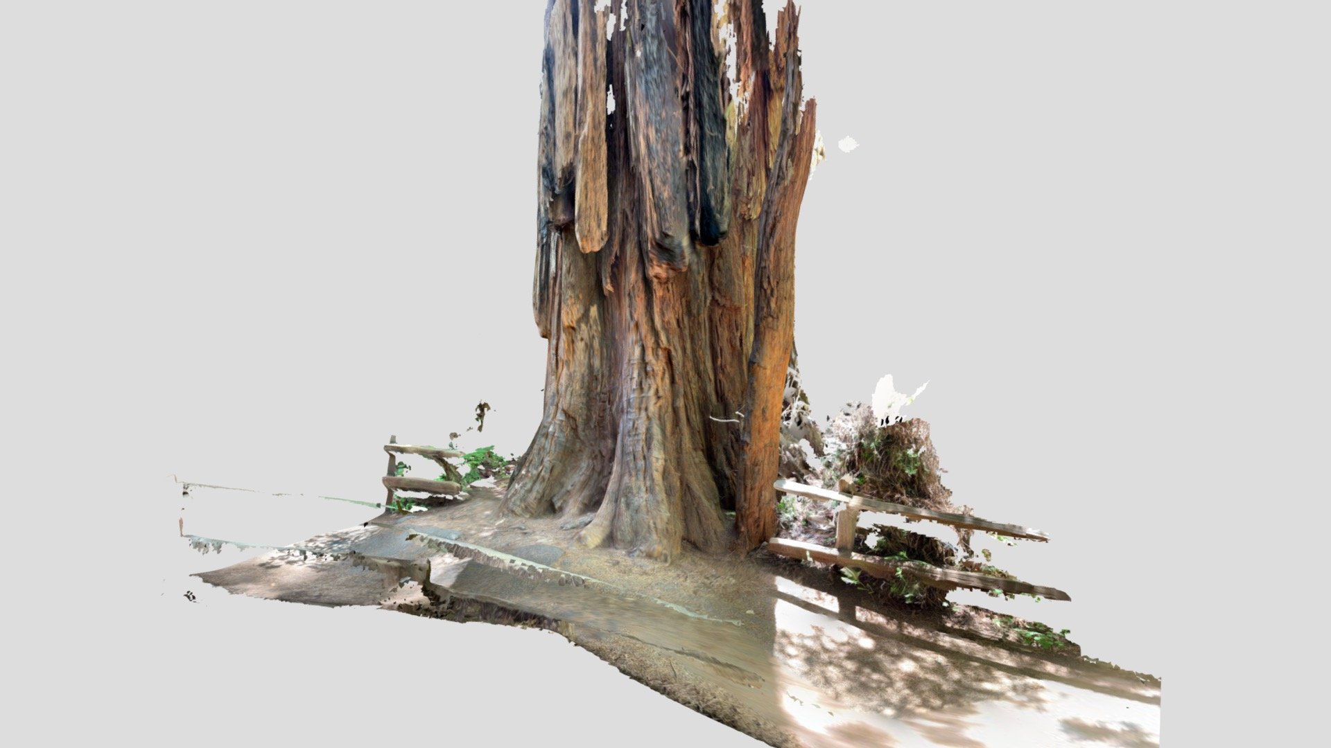 Muir 09 - Download Free 3D model by pixeldog4ever [d9b617f] - Sketchfab