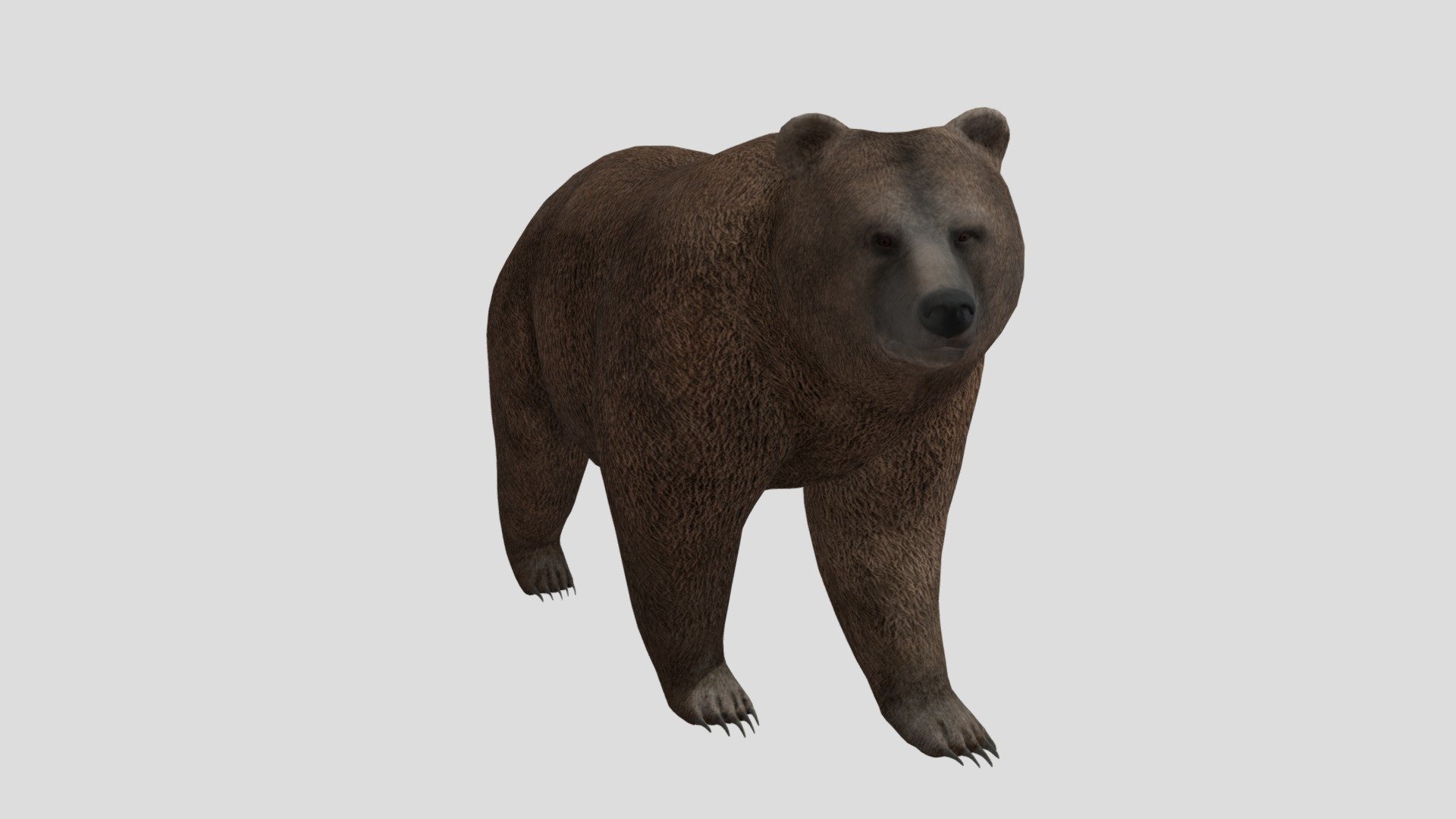 bear - Download Free 3D model by neighbor (@kylekip) [d9b8265] - Sketchfab
