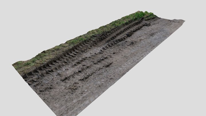 Puddle 3D models - Sketchfab