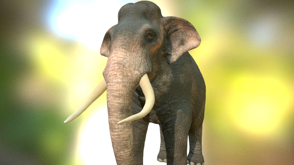Elefante Indiano (Indian Elephant) - 3D model by rafaelnfig [d9cee62 ...