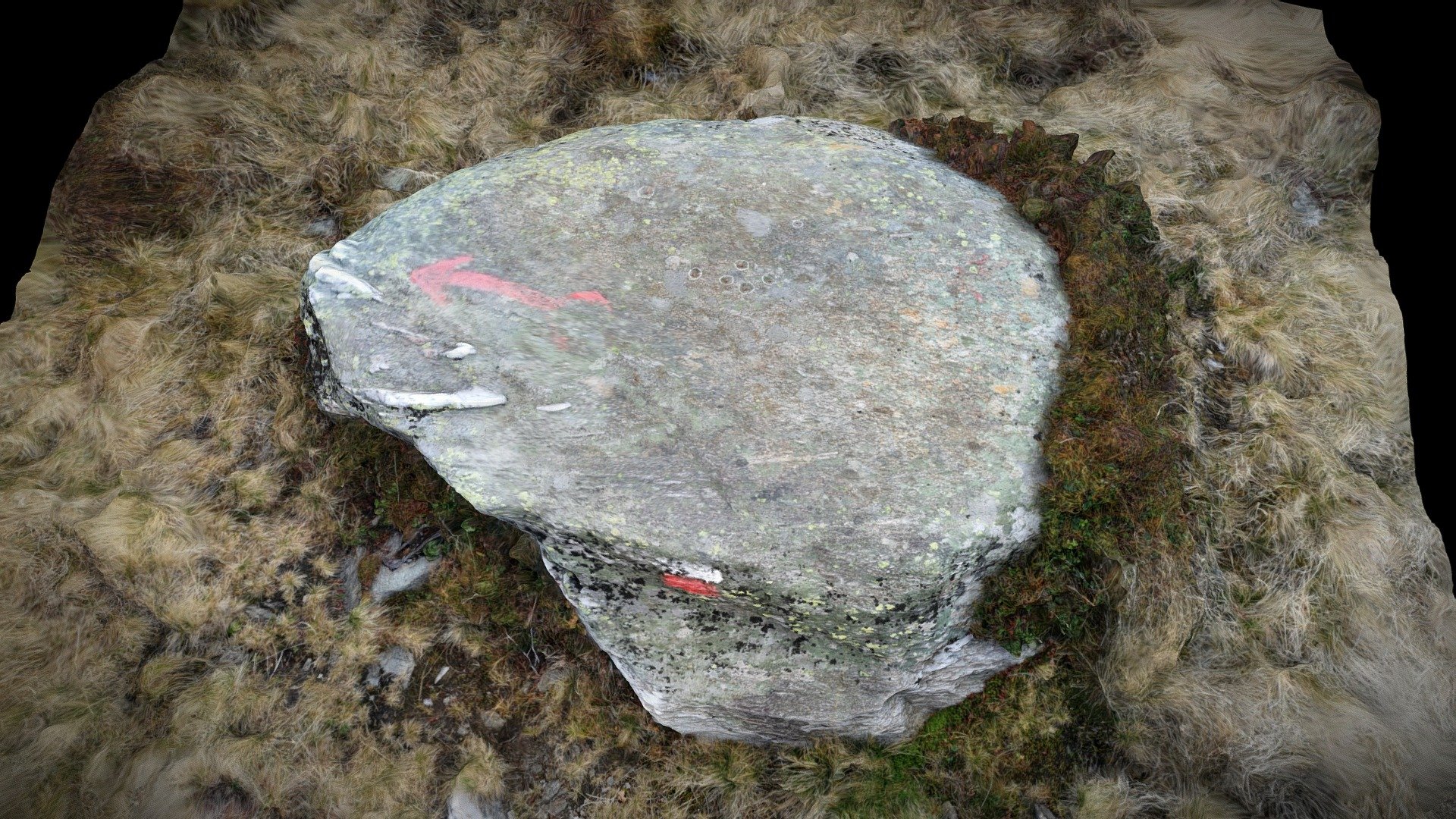 H152.32 - 7 Coppelle - Download Free 3D model by archeologya [d9d442c ...