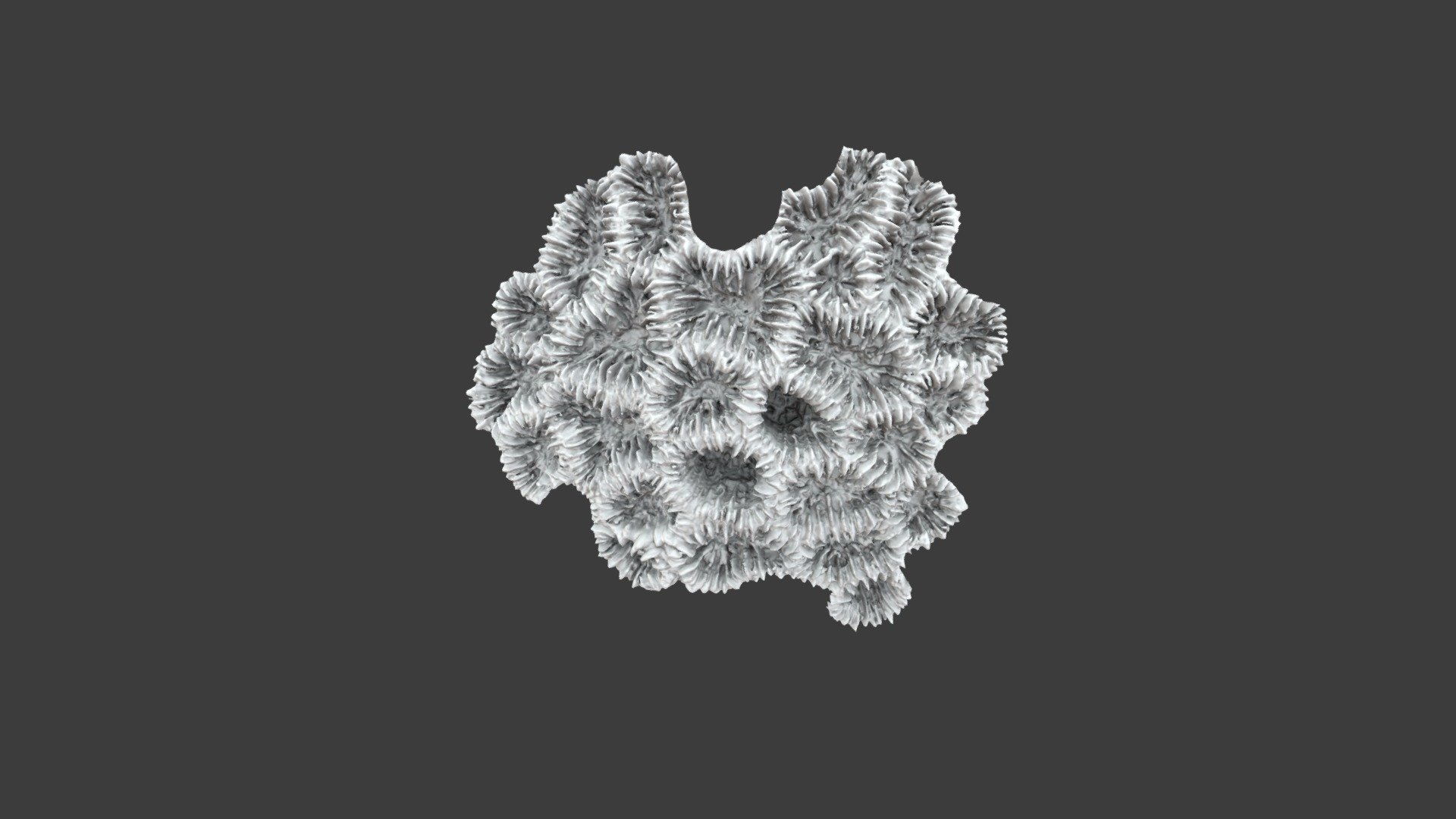Favia fragum - Download Free 3D model by The Smithsonian Institution ...
