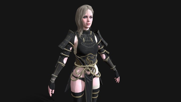 Ronin 3D models - Sketchfab