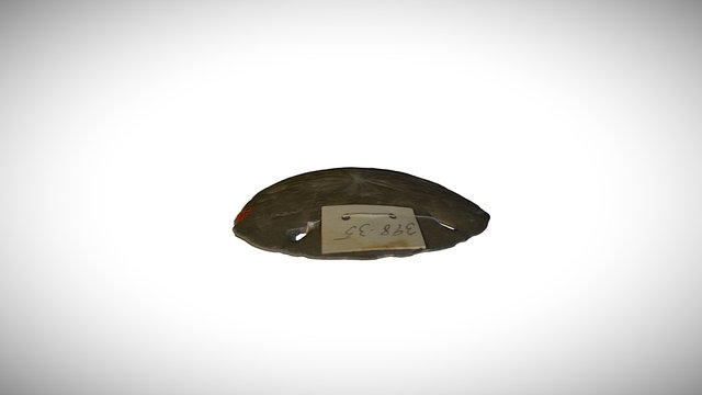 Sand-dollar 3D models - Sketchfab