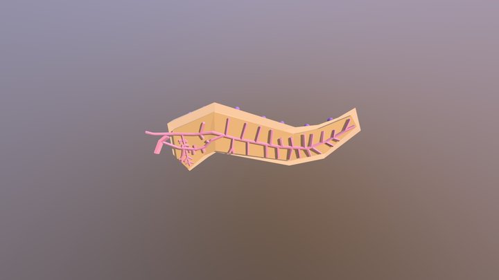 Warping_Paradox - Sketchfab