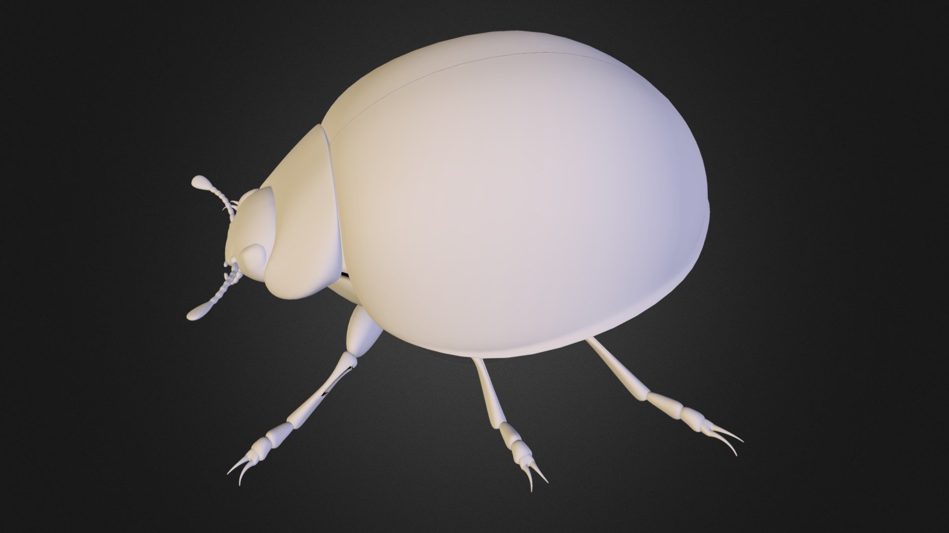 coccinelle - 3D model by jeanboiteux [dWCYZLj] - Sketchfab
