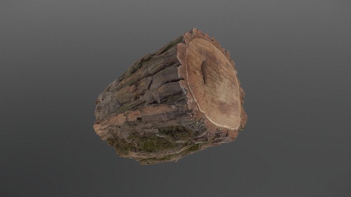 Firewood 3D models - Sketchfab
