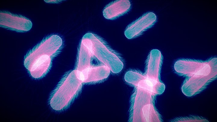 Bacteria 3D models - Sketchfab