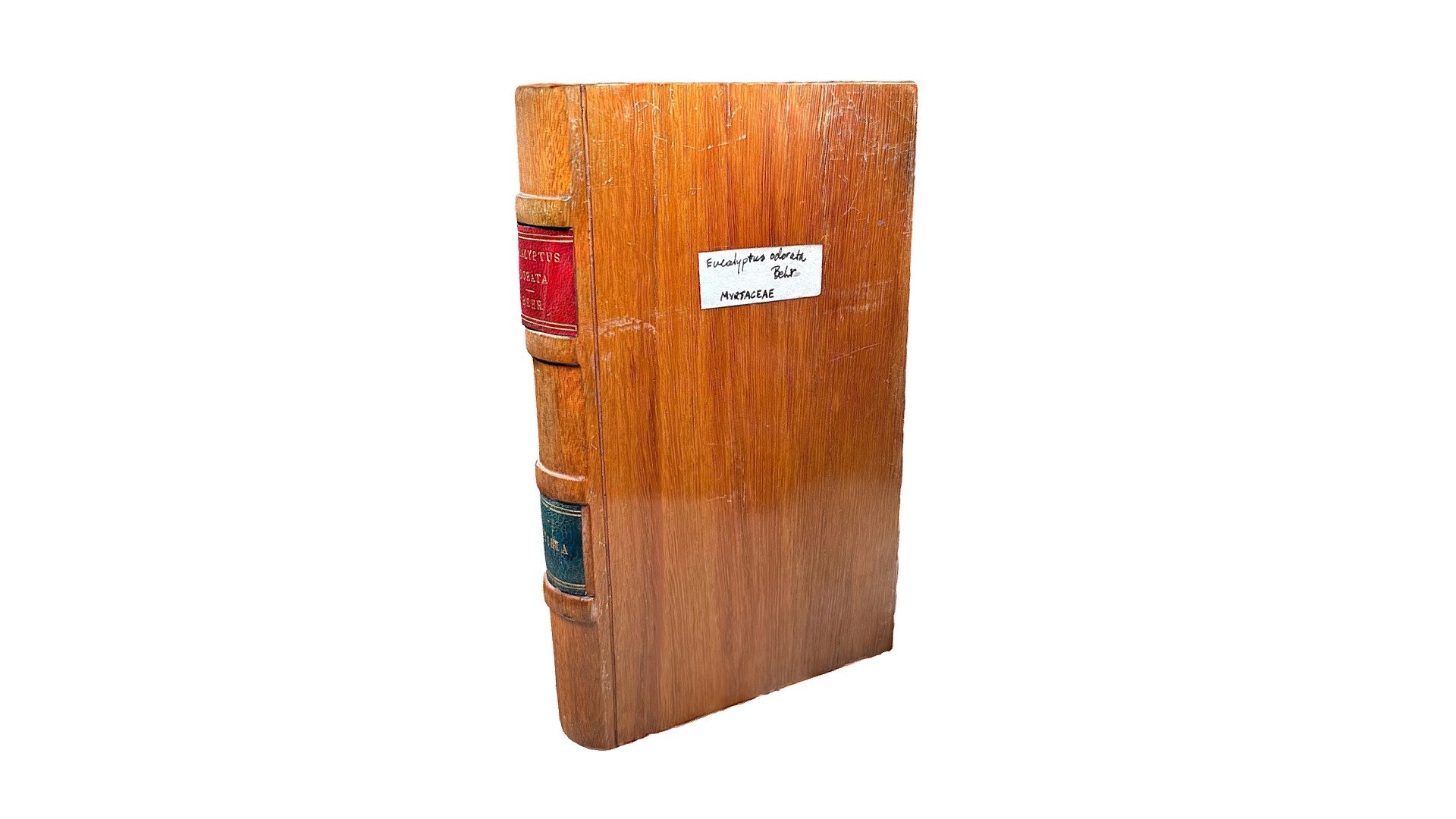 Wood Book - mallee box - 3D model by Queen Victoria Museum and Art ...