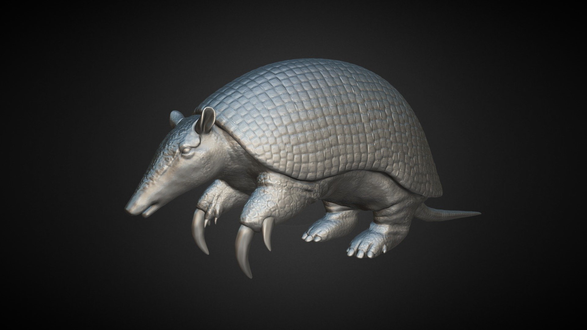 Armadillo HP preview - 3D model by Agnieszka Talik (@agatalik) [da0fdcc] - Sketchfab