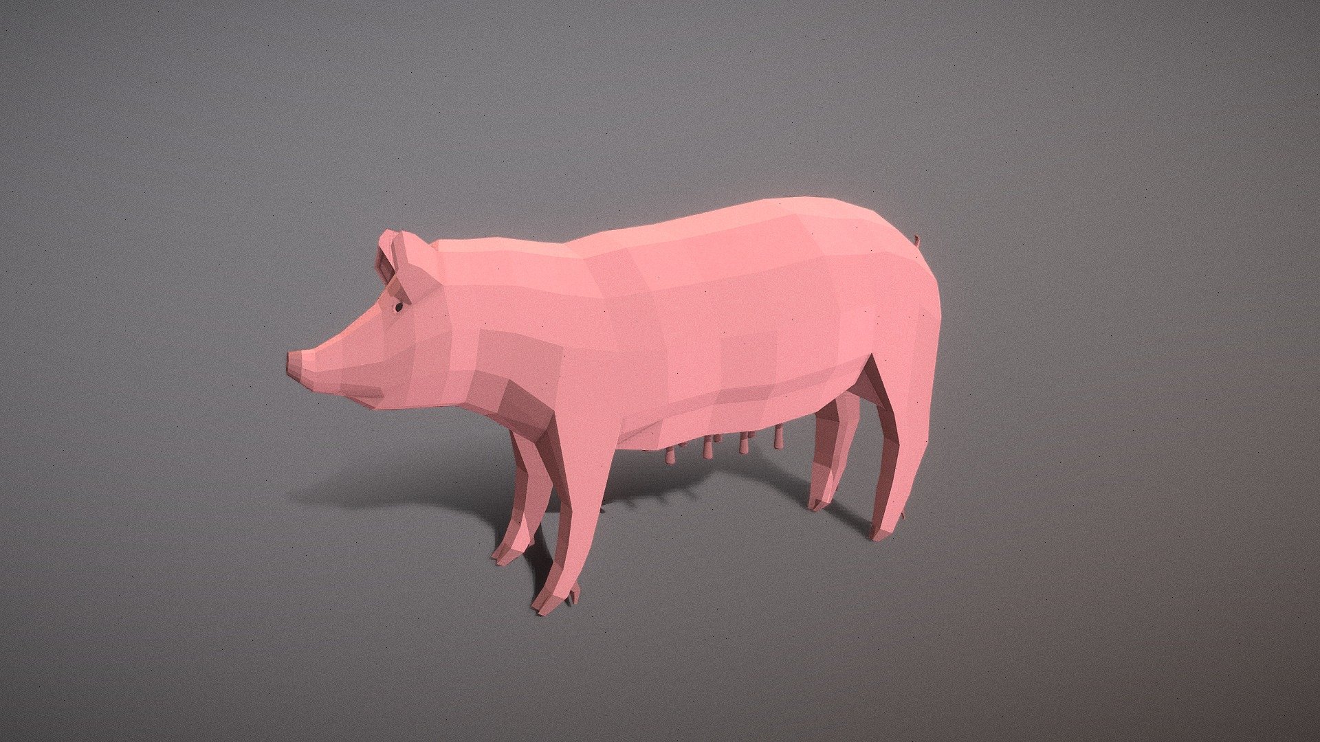 Lowpoly Pig - Download Free 3D model by AspectStudios (@AspectStudio ...