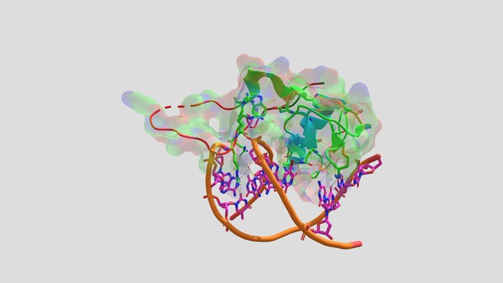 Proteinstructure 3D models - Sketchfab