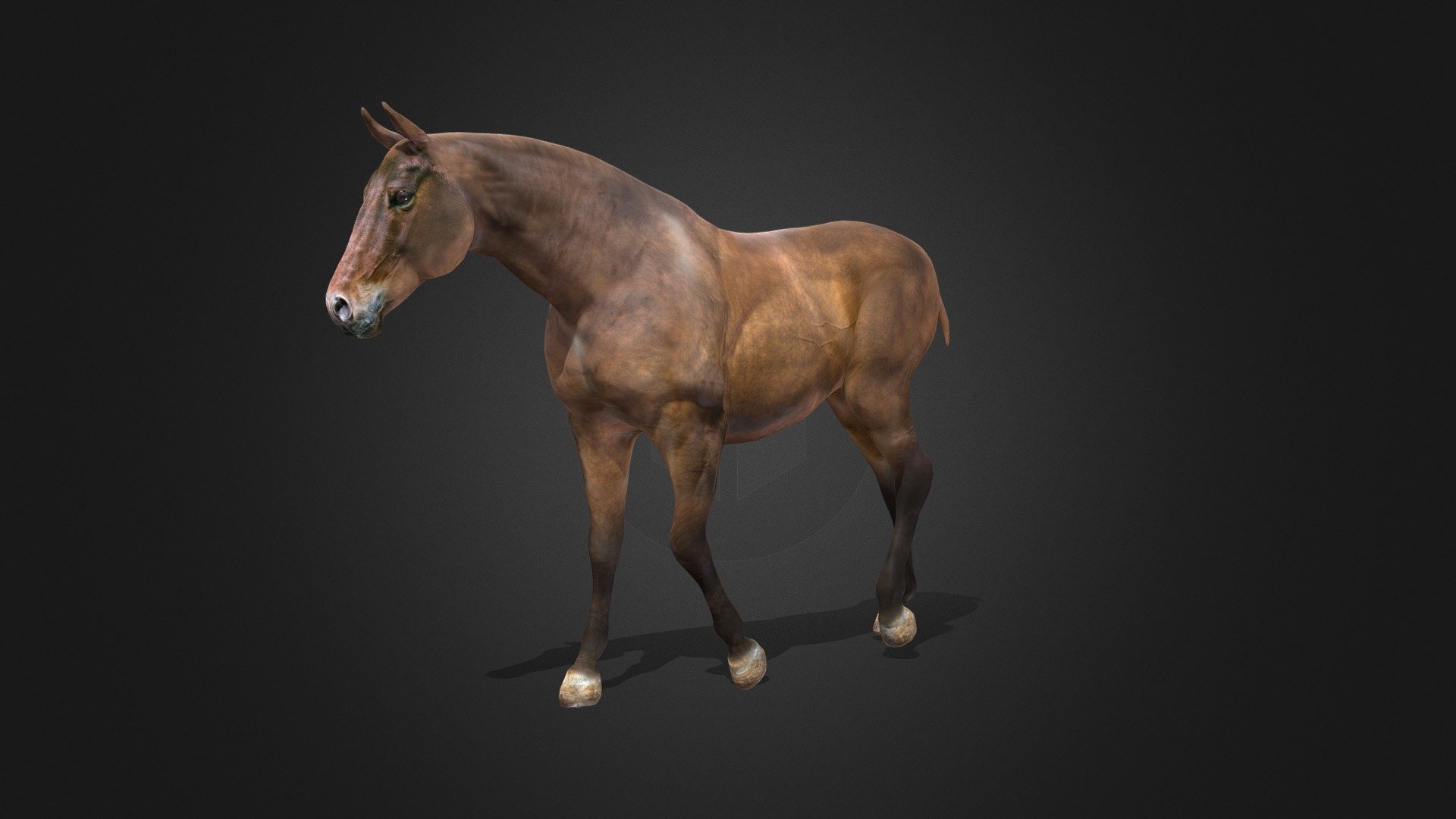 Horse Walk Animation - Buy Royalty Free 3D model by Iofry [da19112 ...