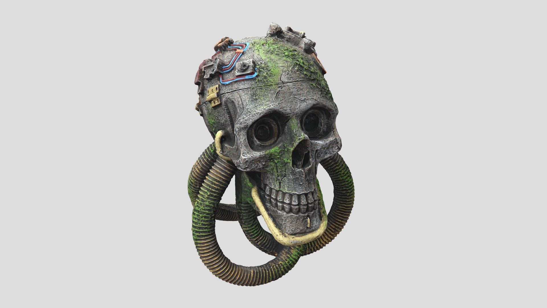 Cyber Skull Decoration - Download Free 3D model by dandruffkielbasa ...