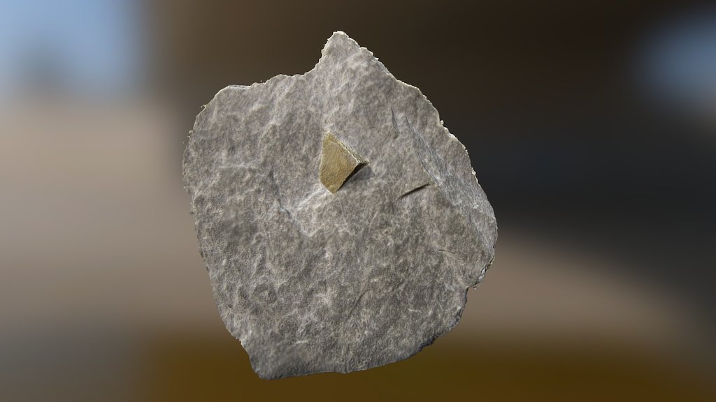 Euhedral Pyrite in Phyllite - Download Free 3D model by Marissa Dudek ...
