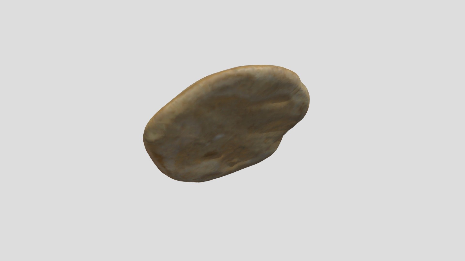 Madagascar Sand Dollar - 3D model by tspattison [da1eb92] - Sketchfab