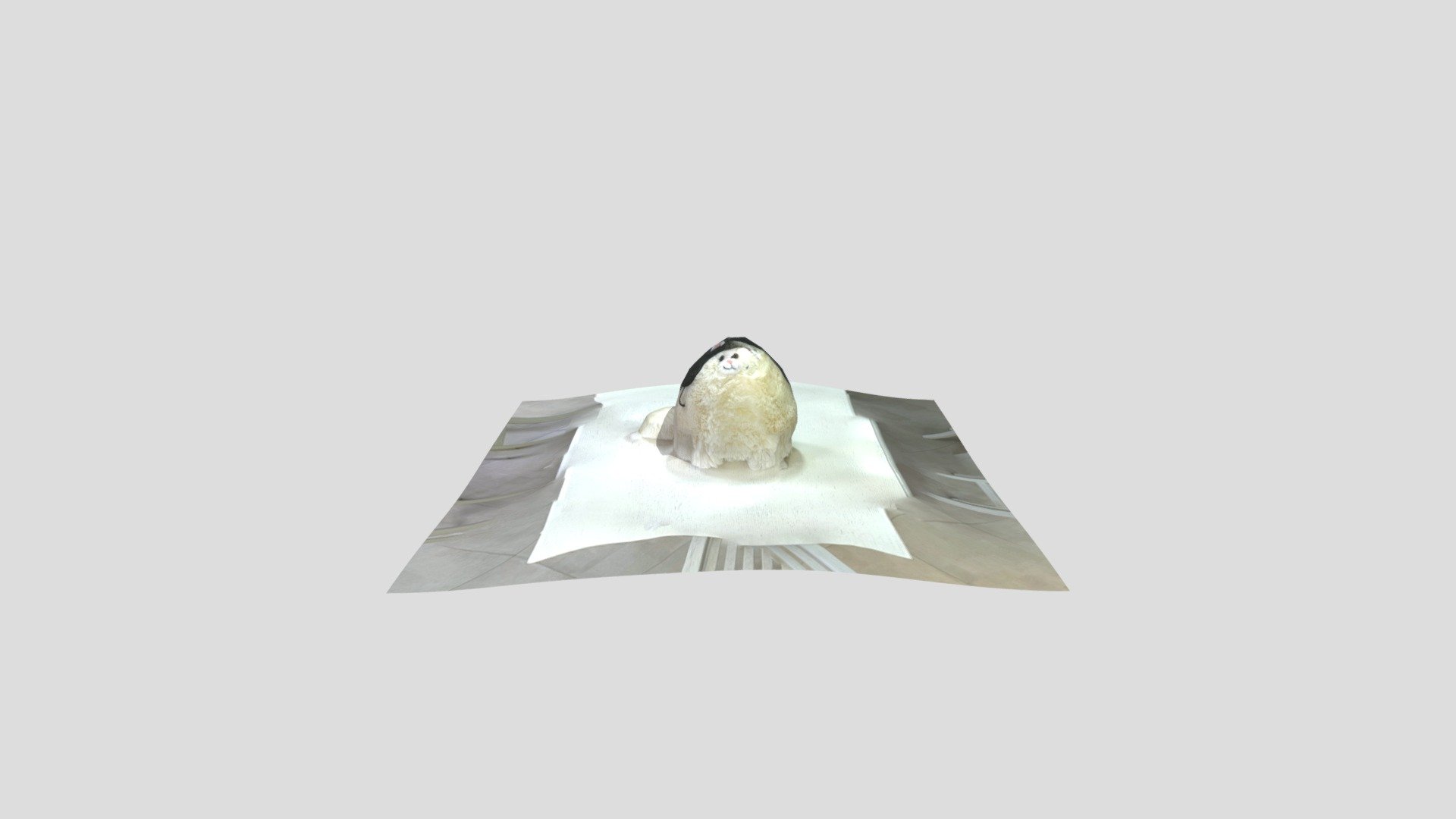 Cat LiDAR Scan - Download Free 3D model by Smart 3D Scan (@Smart3DScan ...