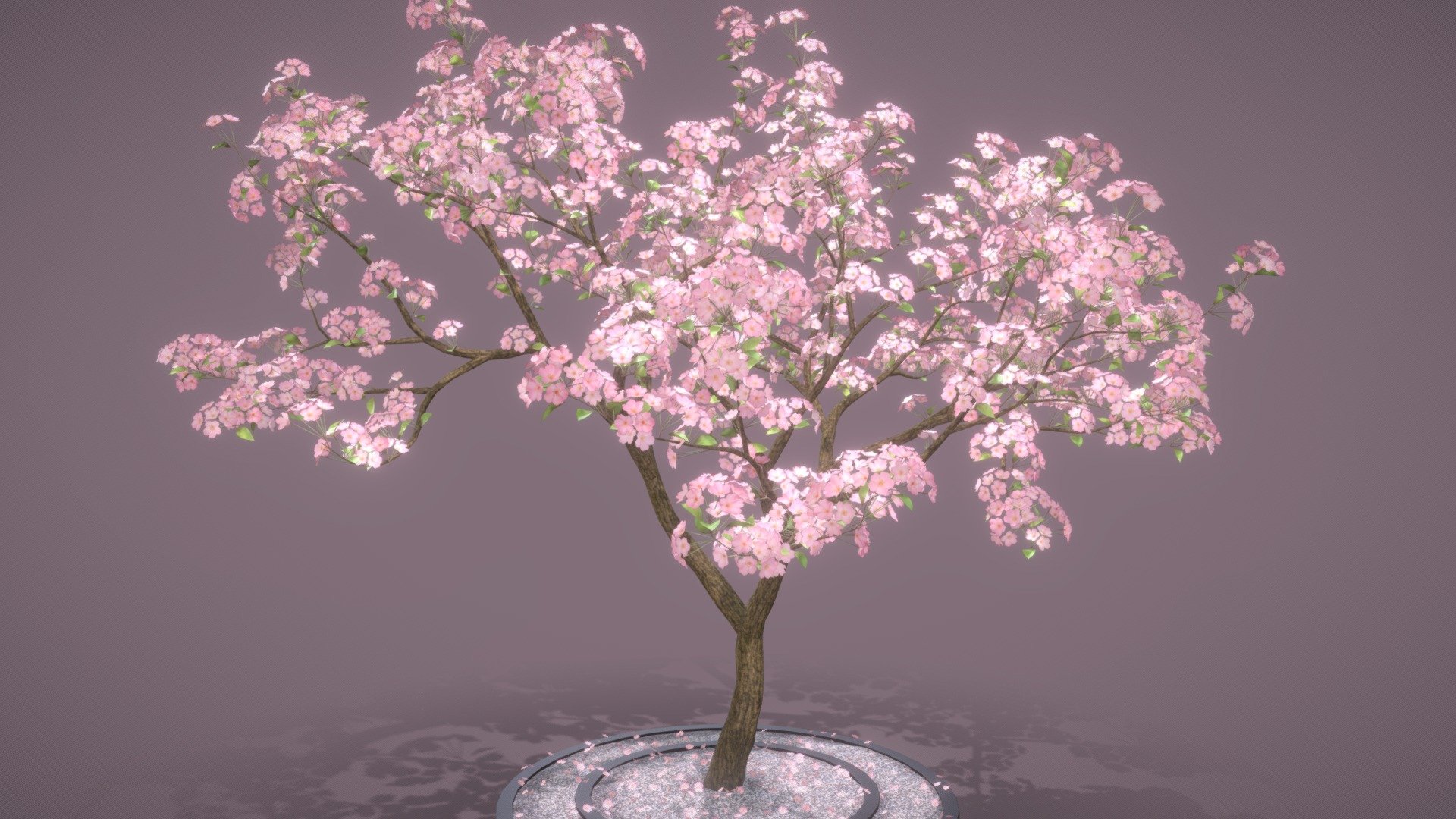 Spring tree (3D) - Buy Royalty Free 3D model by tochechka [da31333 ...