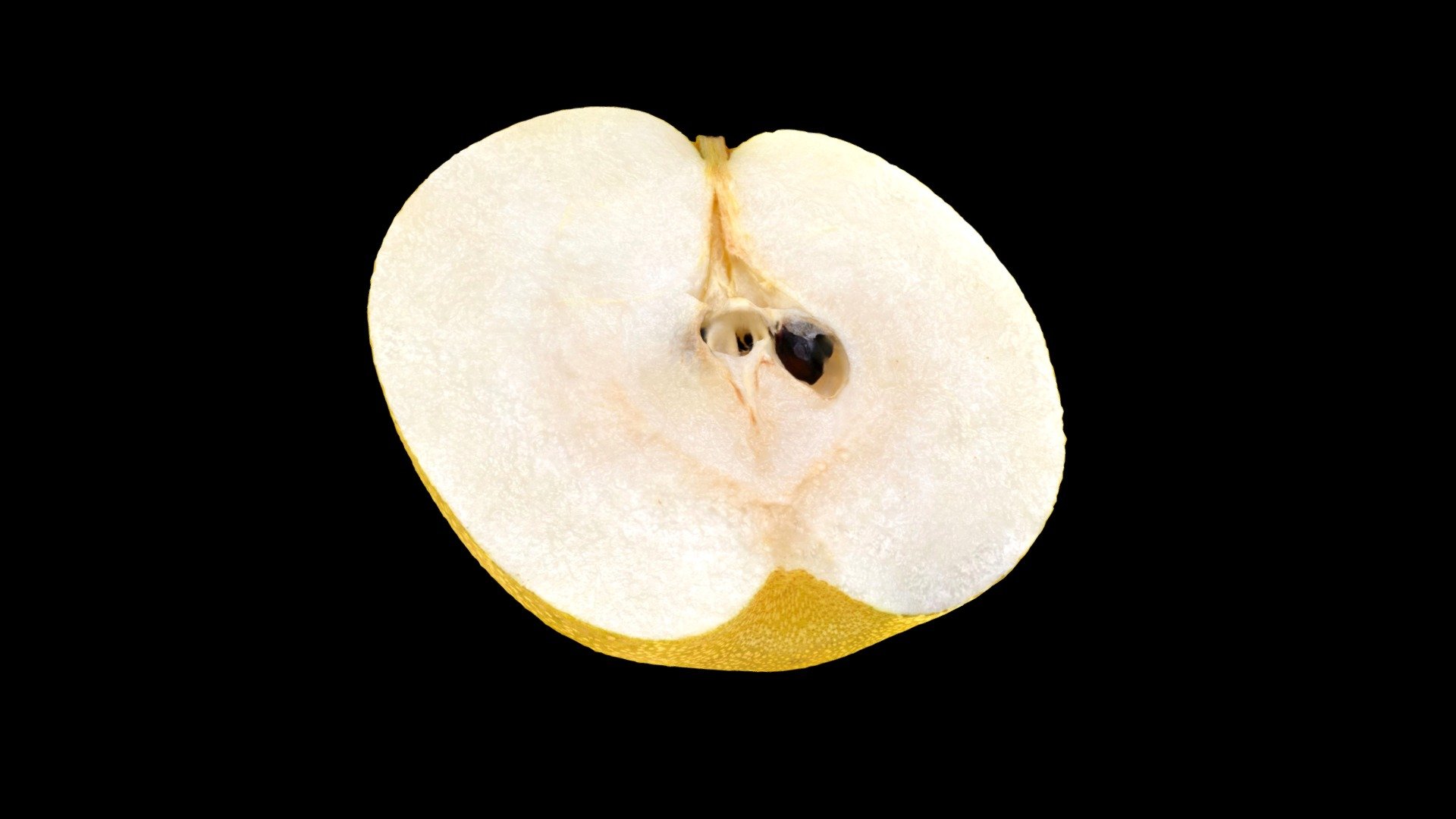 Japanese Pear Hosui（豊水）half 2 - Download Free 3D model by Akiko ...