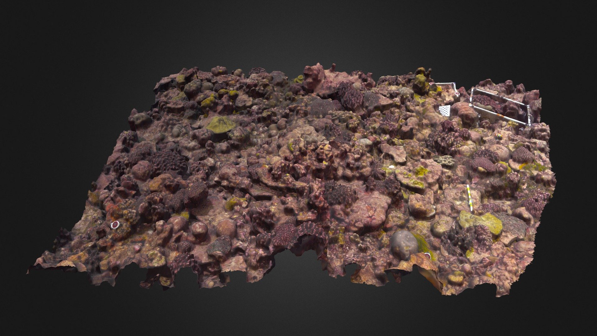 July 2017 Vaskess Bay, Kiritimati, Kiribati - 3D model by baumlab ...