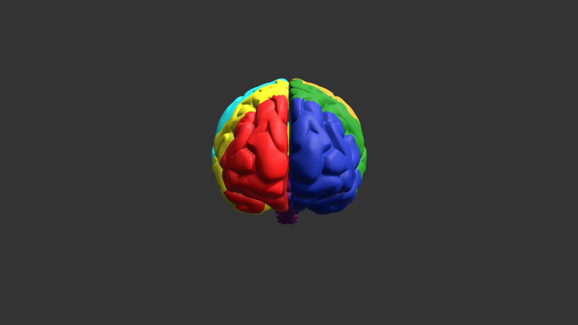 Coby's Brain - 3D model by CobyPal (@cobyp) [da49eec] - Sketchfab