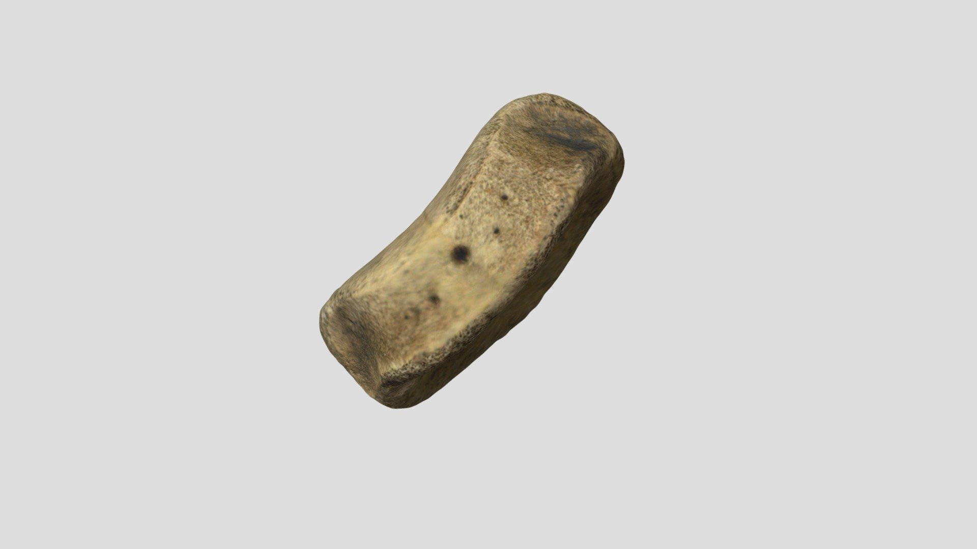 Hadrosaur toe digit fossil (L38C) - 3D model by Hong Kong Science ...