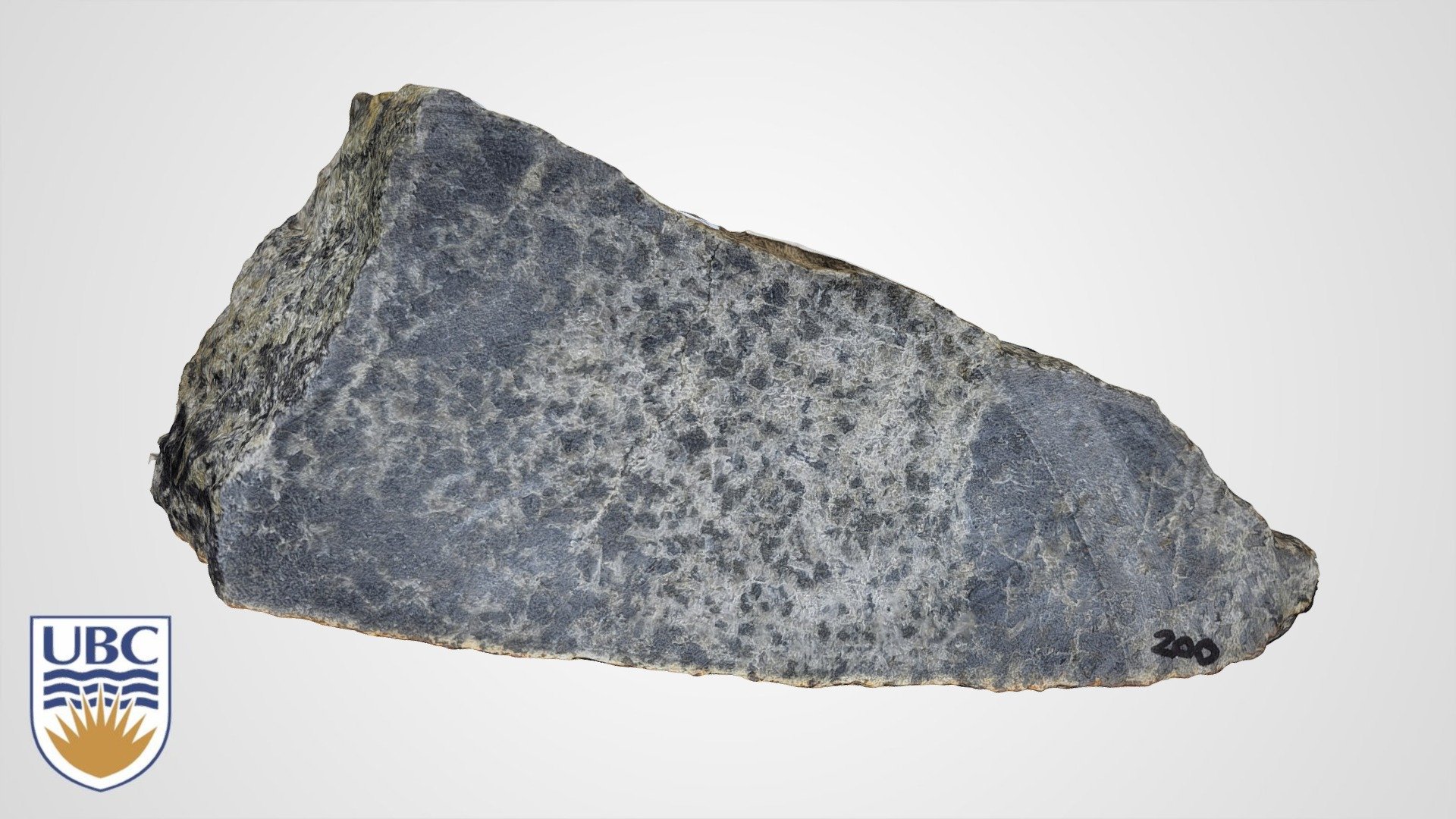 Skaergaard intrusion LZa* (SEB87-200) - 3D model by Nichole Moerhuis ...