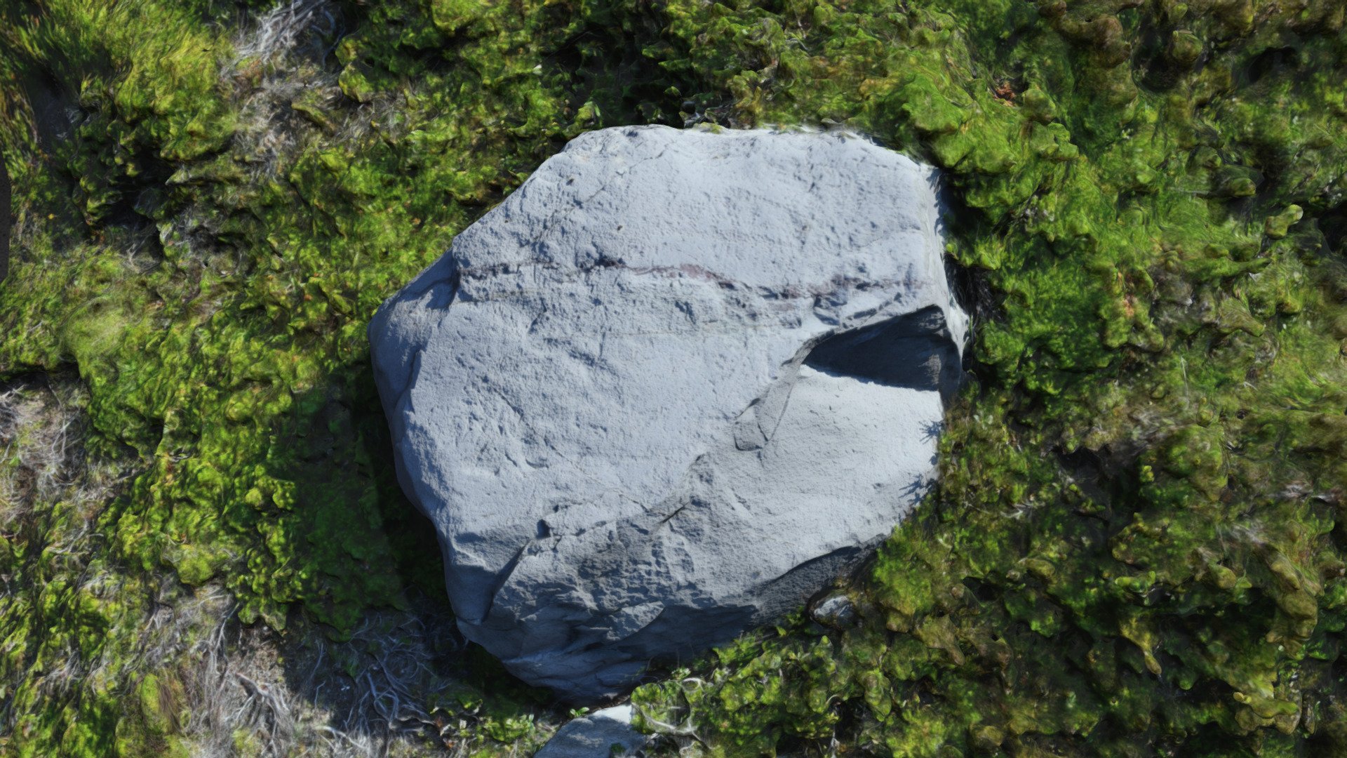 Alta Rock Art: Isnestoften 4 - 3D model by Alta Museum (@AltaMuseum ...